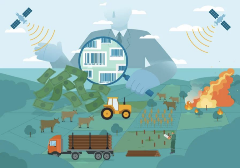Illicit deforestation drains $1.28 billion from Brazil & $289 million ...
